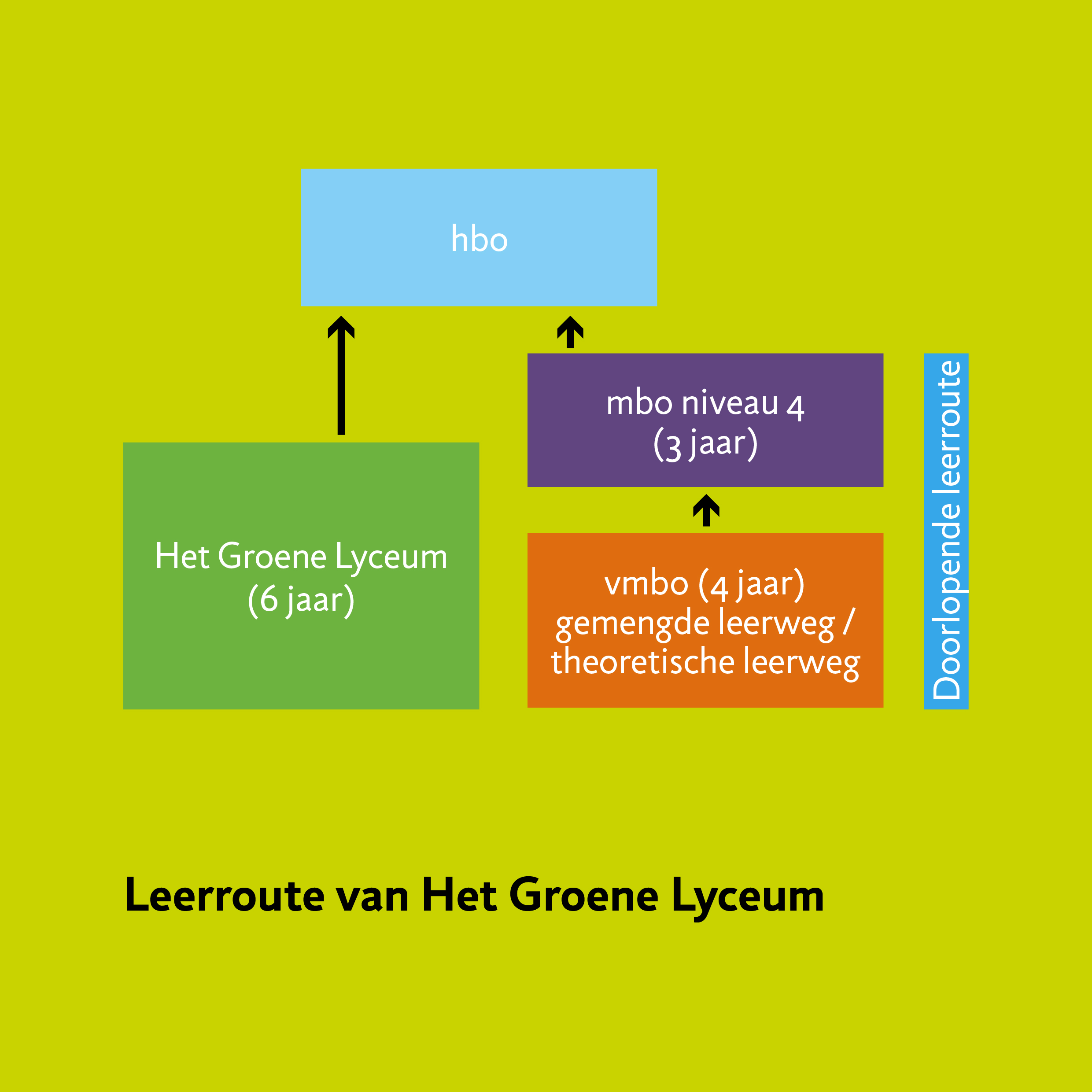 Het Groene Lyceum: dé praktische leerroute